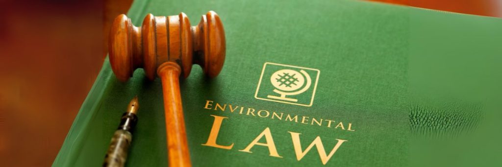 Understanding Environmental Law in Canada - Y7 Canada
